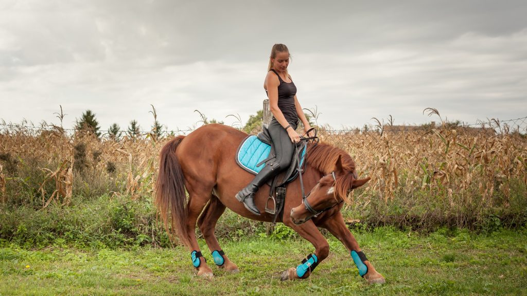 Kis Csilla Lilla: Összhangban a lovakkal - Impulzív Magazin